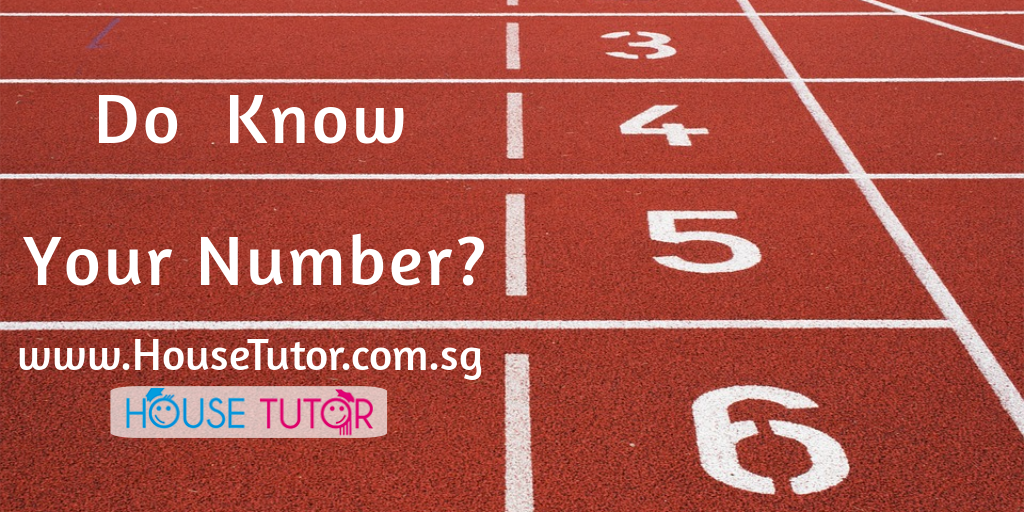 types-of-numbers-in-mathematics-forward-parcel-blog